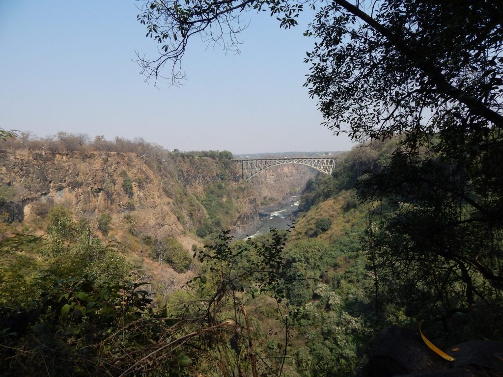 Harding seeks to aid Zambia during drought, famine | The Bison