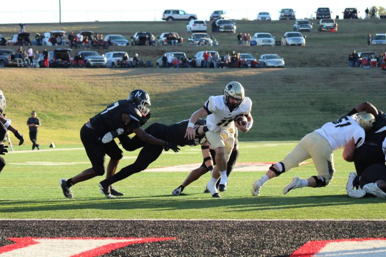 Harding Bisons ranked No. 14 nationally | The Bison