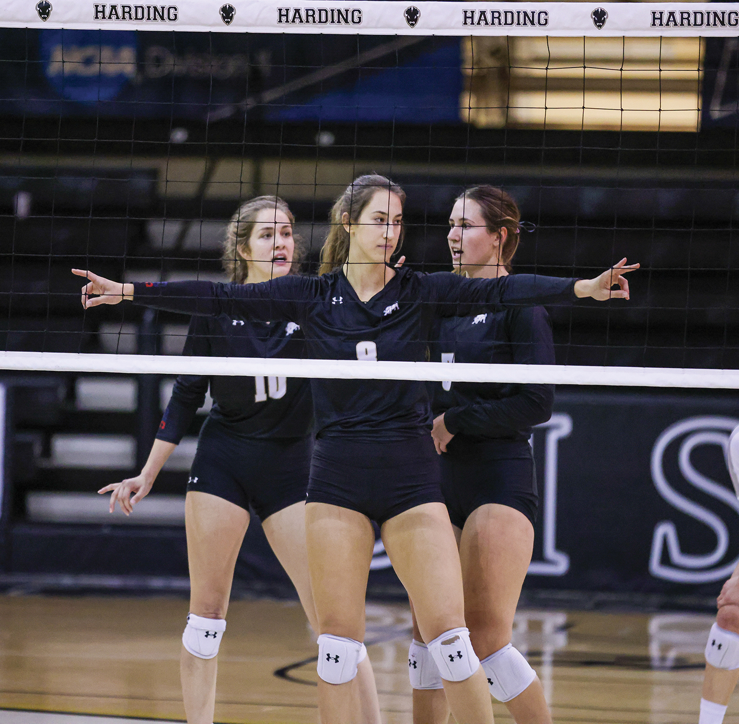 Harding volleyball set to begin 2023 season | The Bison